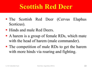 Red Deer Algorithm (RDA) | PPTX