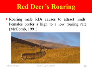 Red Deer Algorithm (RDA) | PPT