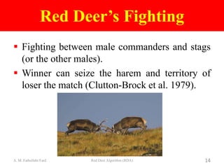 Red Deer Algorithm (RDA) | PPT