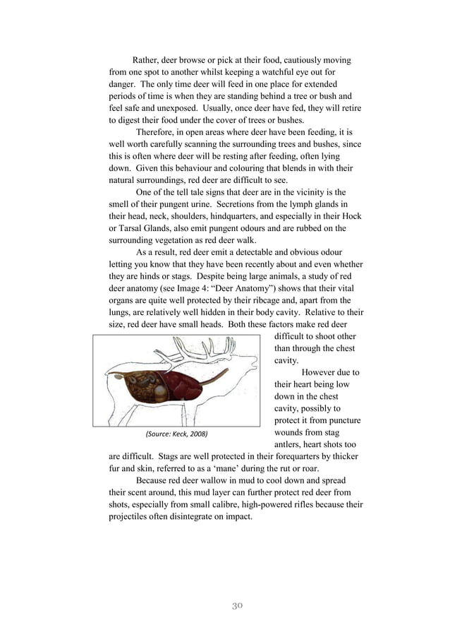 Secrets of the Red Deer by Paul Rattray (Excerpt) | PDF | Arms ...