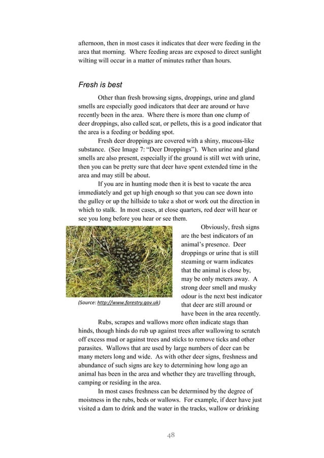 Secrets of the Red Deer by Paul Rattray (Excerpt) | PDF