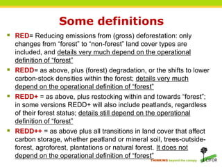 Linking REDD+ and ape conservation in Africa: opportunities and ...