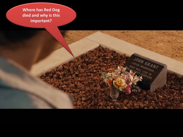 Red dog death scene deconstruction | PDF