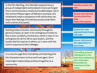 Explaining Essay Structure with Red Dog | PPT