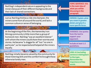 Explaining Essay Structure with Red Dog | PPT