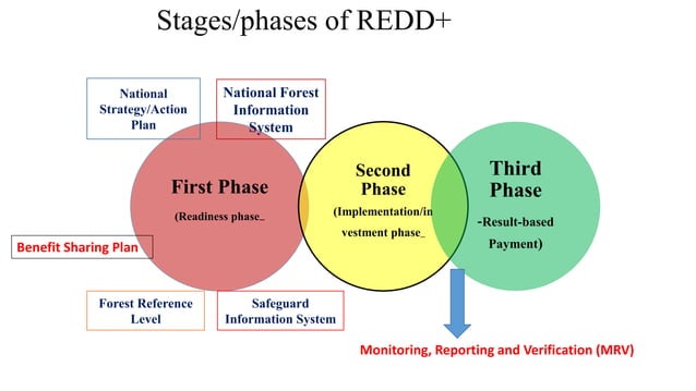 REDD+: Opportunties and Challenges | PPT