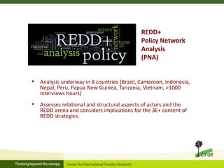 REDD+ Policy Network Analysis: Update and Introduction | PPT