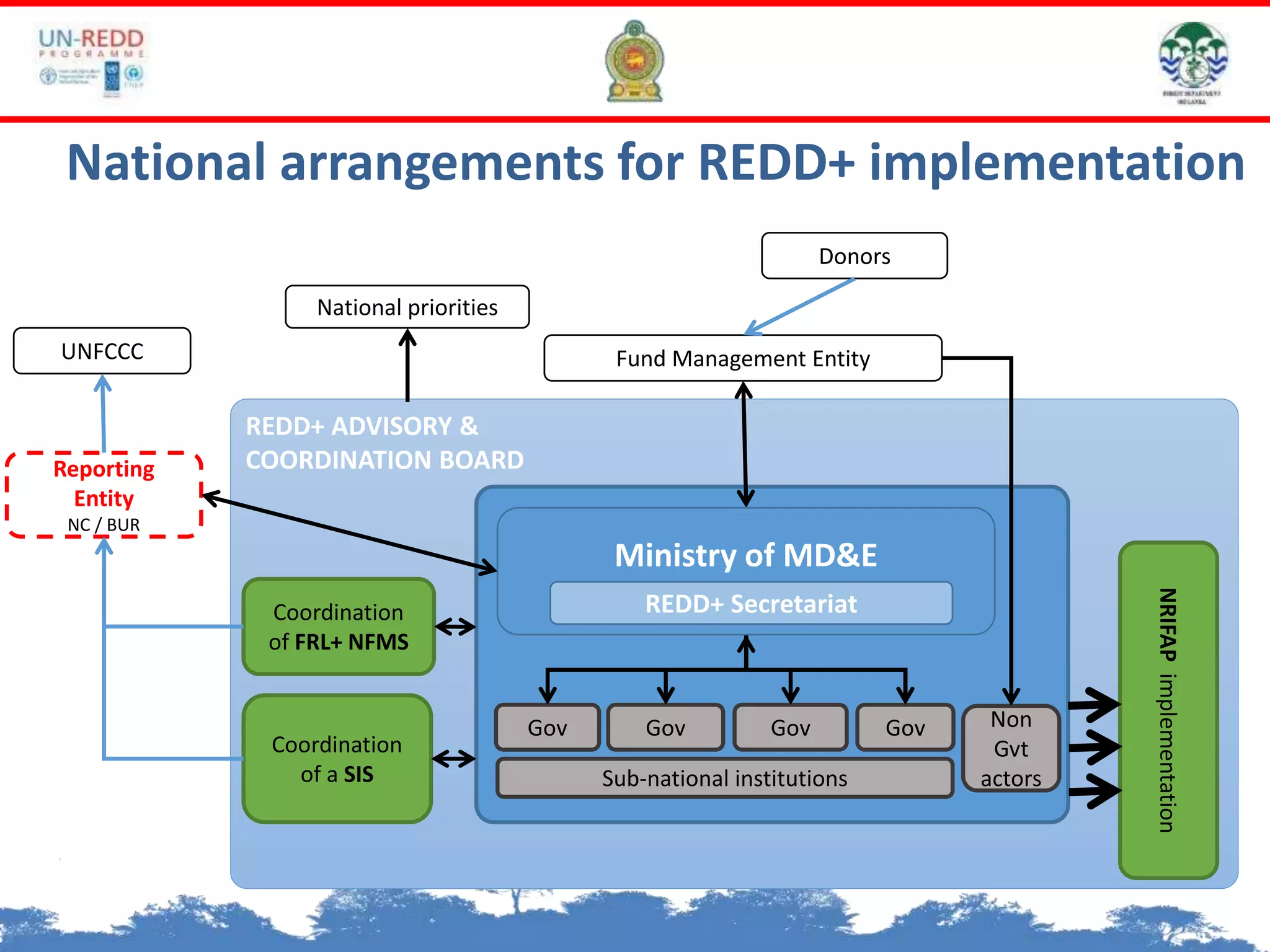 Reducing Emission from Deforestation and Forest Degradation (REDD+) | PPT