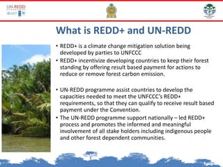 Reducing Emission from Deforestation and Forest Degradation (REDD+) | PPT