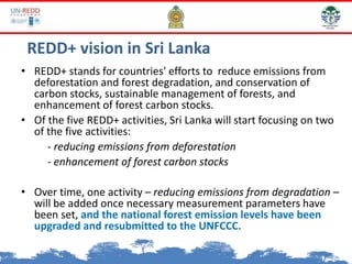Reducing Emission from Deforestation and Forest Degradation (REDD+) | PPT