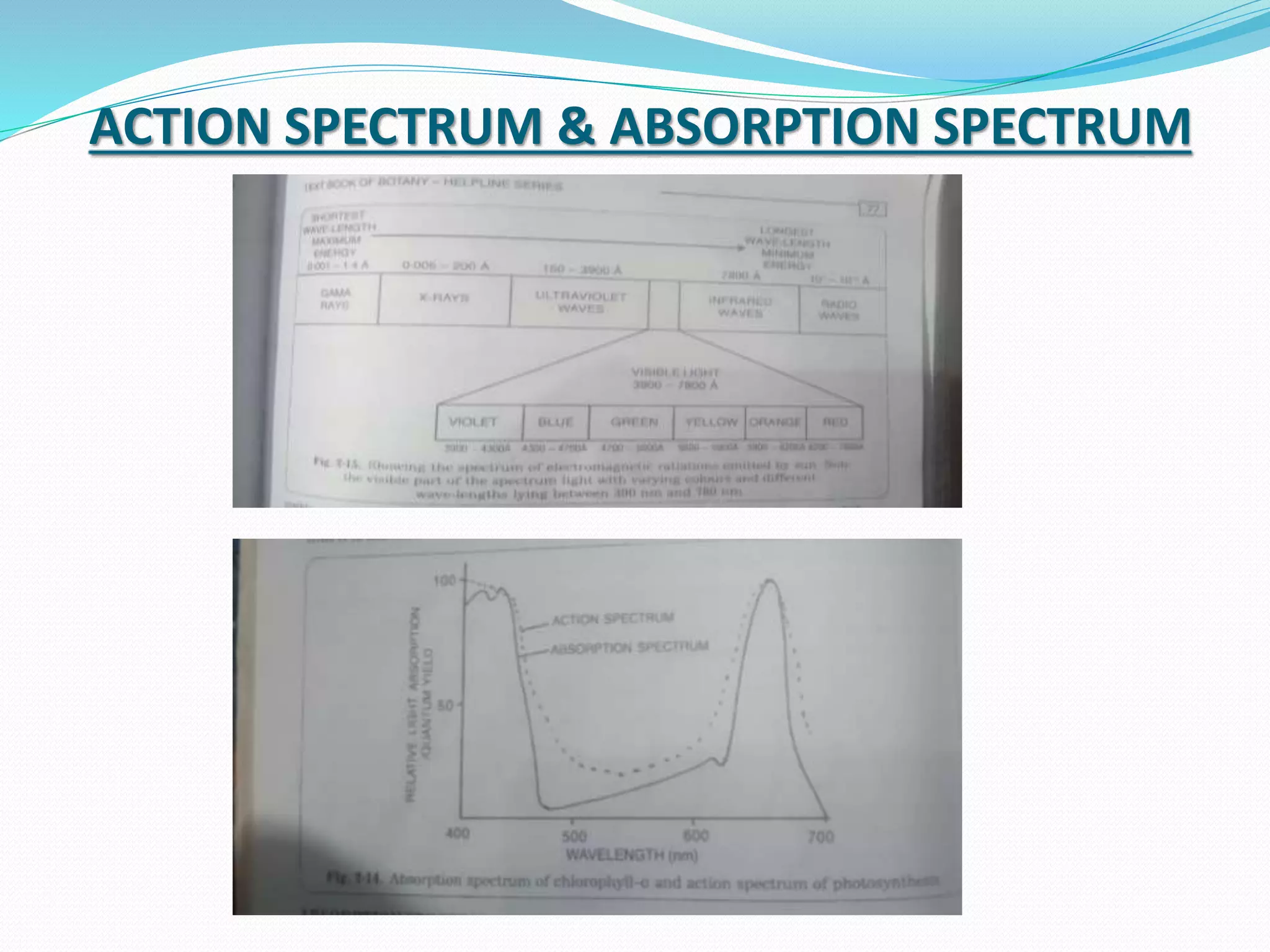 RED DROP AND EMERSON'S EFFECT.pptx
