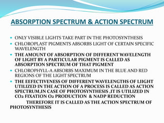 RED DROP AND EMERSON'S EFFECT.pptx