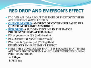 RED DROP AND EMERSON'S EFFECT.pptx