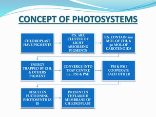 RED DROP AND EMERSON'S EFFECT.pptx