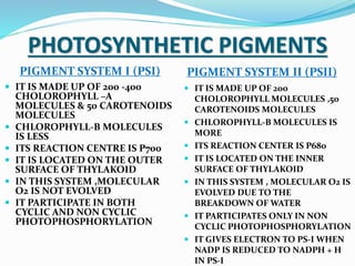 RED DROP AND EMERSON'S EFFECT.pptx