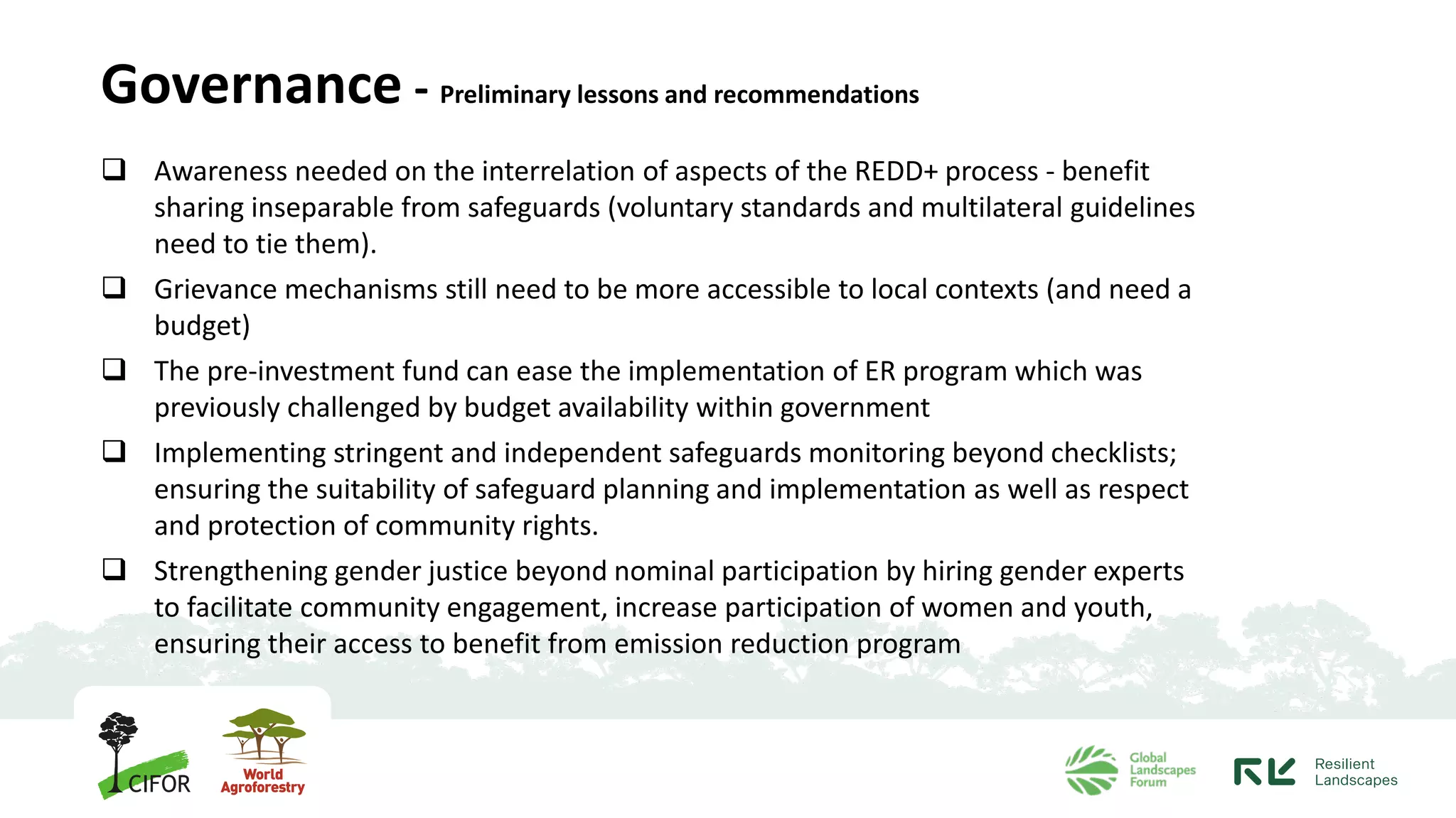 REDD+ social safeguards in Indonesia: Opportunities and challenges | PDF