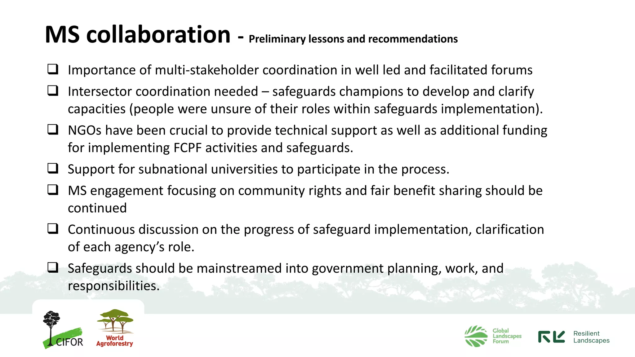 REDD+ social safeguards in Indonesia: Opportunities and challenges | PDF