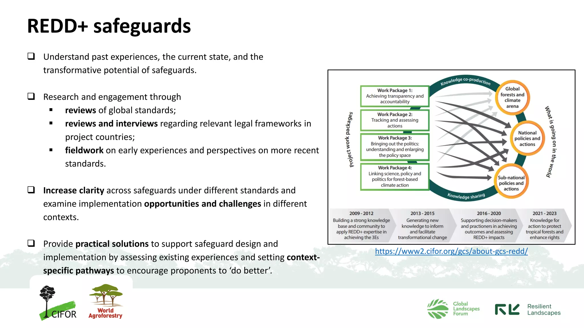 REDD+ social safeguards in Indonesia: Opportunities and challenges | PDF