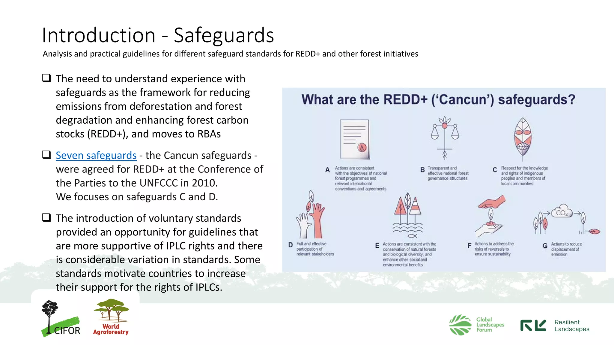 REDD+ social safeguards in Indonesia: Opportunities and challenges | PDF