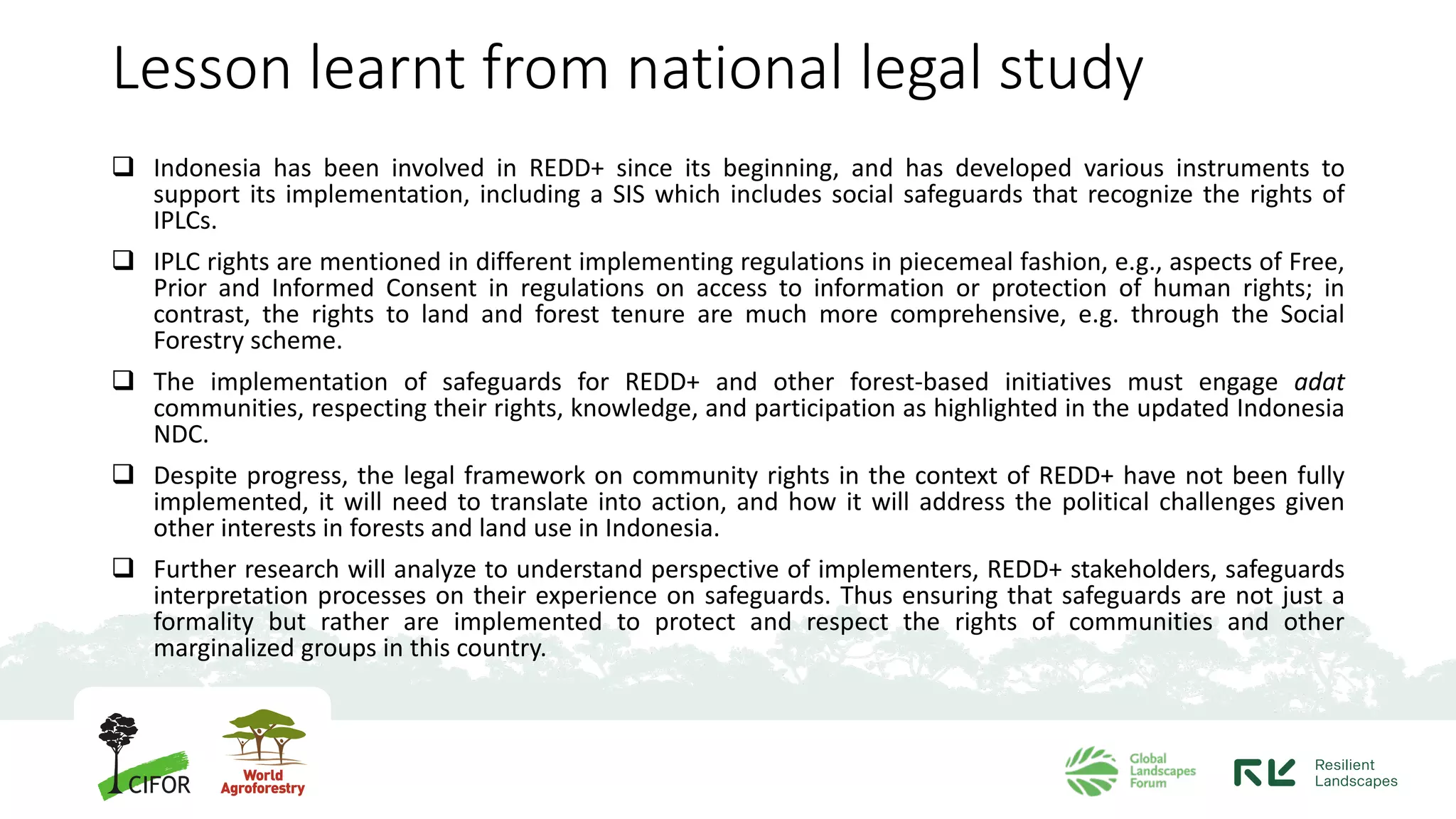 REDD+ social safeguards in Indonesia: Opportunities and challenges | PDF