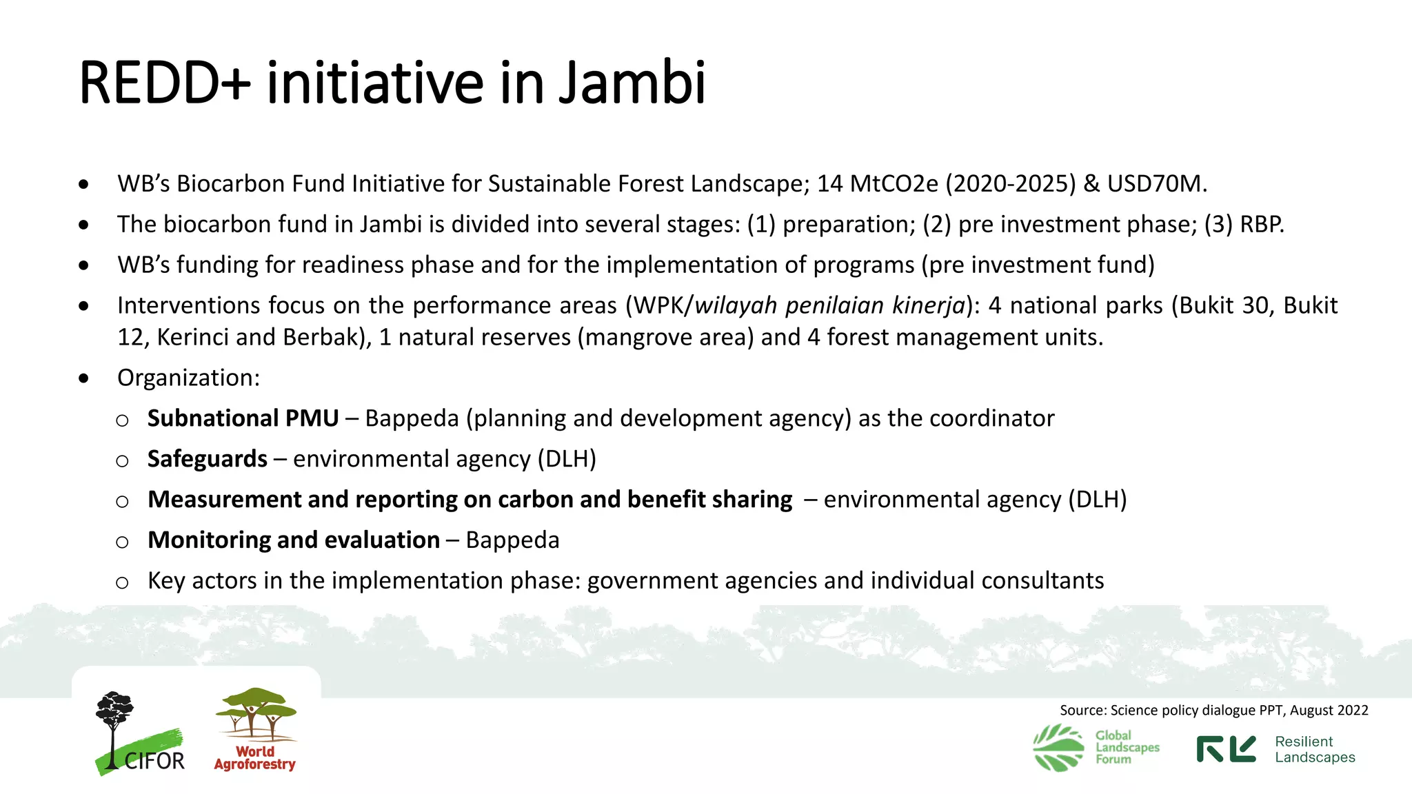 REDD+ social safeguards in Indonesia: Opportunities and challenges | PDF