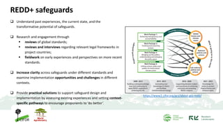 REDD+ social safeguards in Indonesia: Opportunities and challenges | PDF