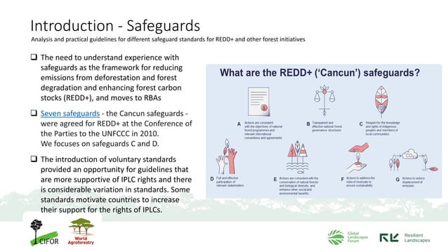 REDD+ social safeguards in Indonesia: Opportunities and challenges | PDF | Environment | Science