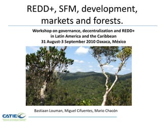CATIE Presentation on Implementation of REDD+ | PPT