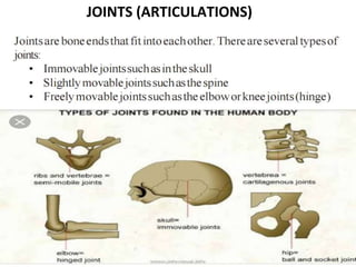 musculo skeletal injuries | PPT