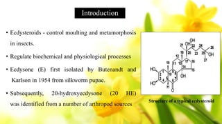 Dietary effects of phytoecdysteroids on growth and developement of ...