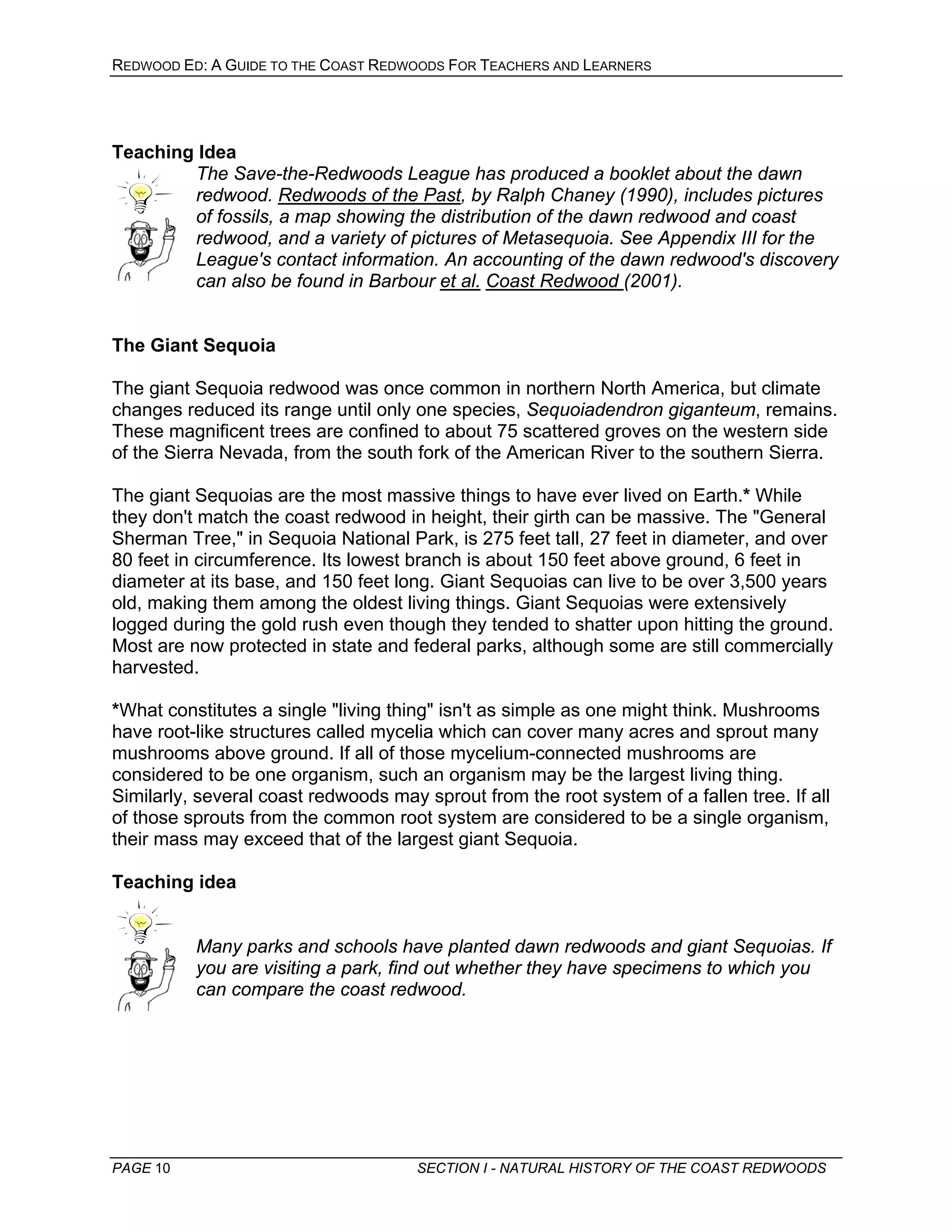 NATURAL HISTORY OF THE COAST REDWOODS | PDF