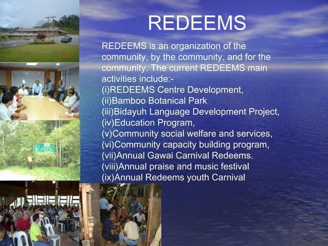 Redeems bamboo development. mtib 2 dec | PPT