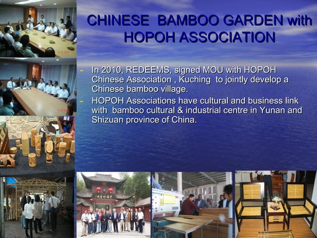 Redeems bamboo development. mtib 2 dec | PPT