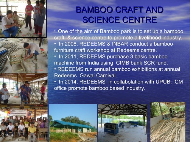 Redeems bamboo development. mtib 2 dec | PPT