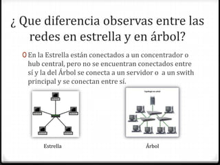 Red en estrella y en Árbol | PPTX