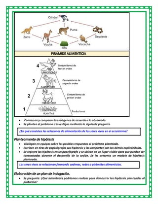 sesión de aprendizaje de REDES ALIMENTICIAS.docx