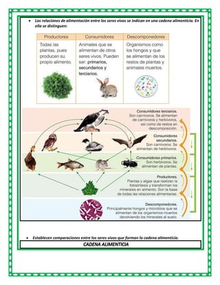 sesión de aprendizaje de REDES ALIMENTICIAS.docx