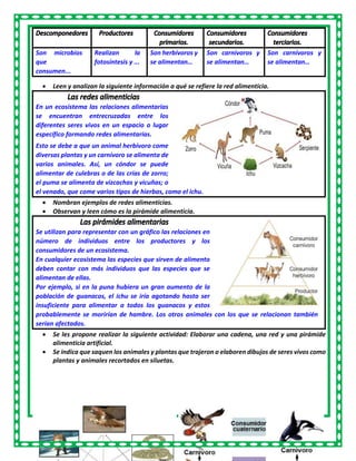 sesión de aprendizaje de REDES ALIMENTICIAS.docx