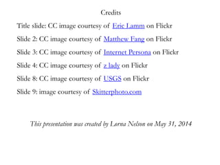 Introduction to Slide Design for a Presentation | PPSX