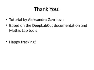 Redesigned_DLC_Tutorial_Aleksandra_Gavrilova.pptx