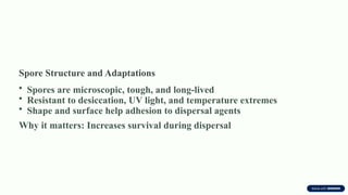 Redesigned_Mushroom_Life_Cycle_Presentation.pptx