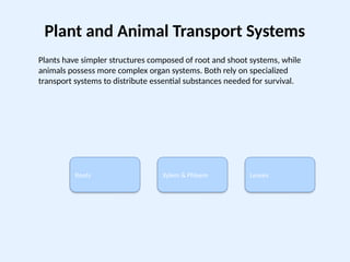 Redesigned_Plant_and_Animal_Circulation_Presentation.pptx
