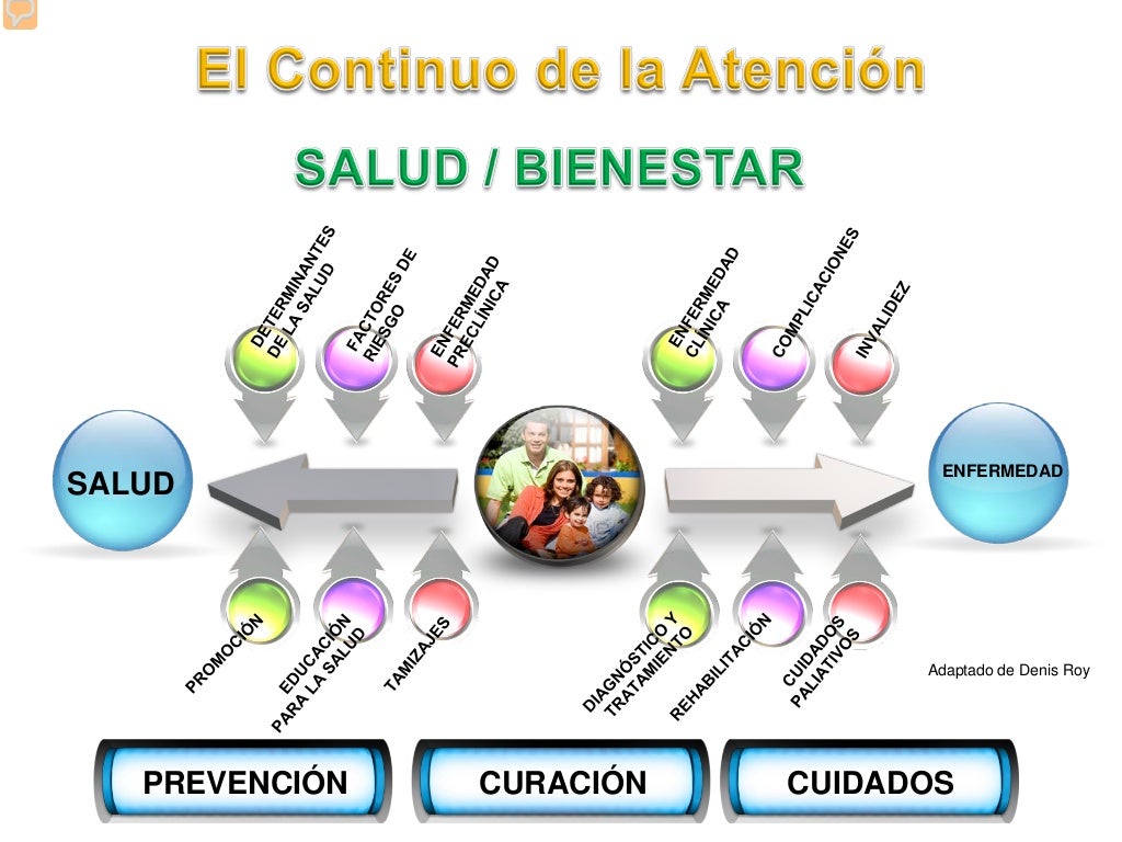 Redes Integradas De Servicio De Salud Dr Holder