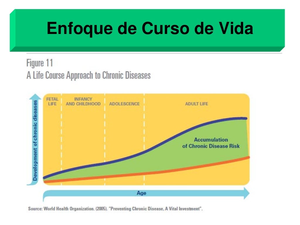 Redes Integradas De Servicio De Salud Dr Holder