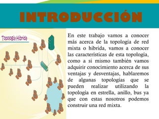 Redes mixtas (carolina gómez) | PPT