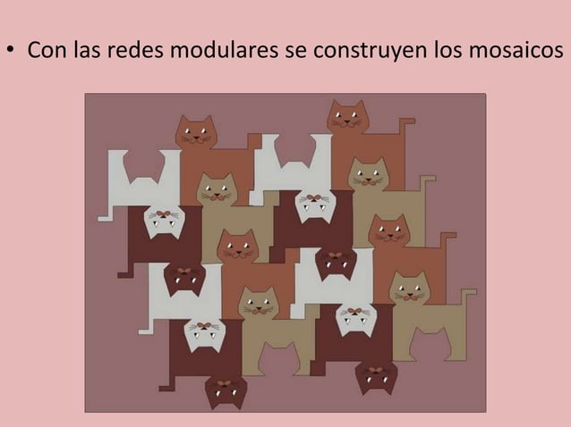 Redes modulares y módulo | PPSX