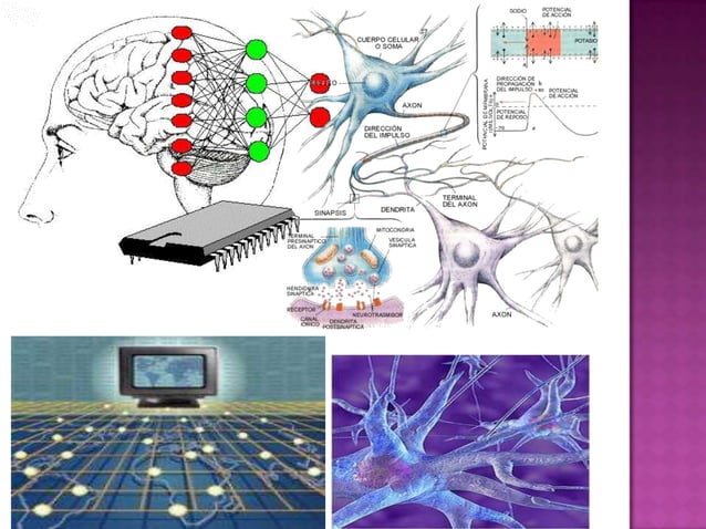 Redes Neuronales | PPT