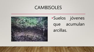 Tipos de suelo por Rodolfo Banchero | PPTX