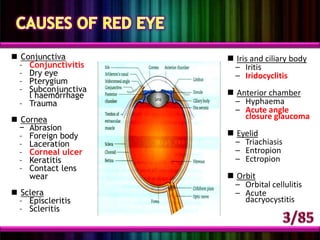 Causes Of Red Sclera