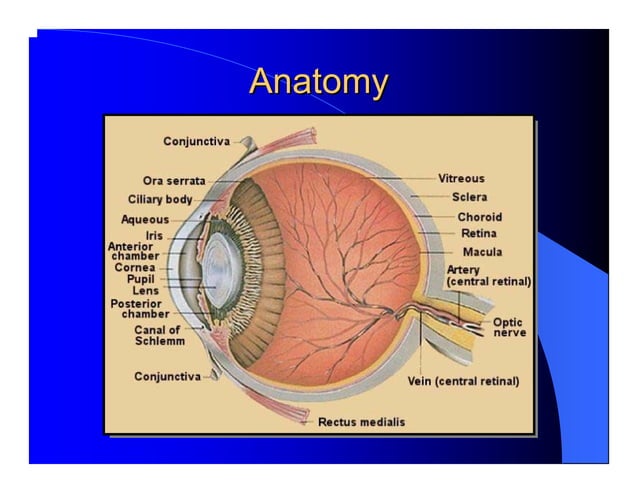Red Eye Ppt